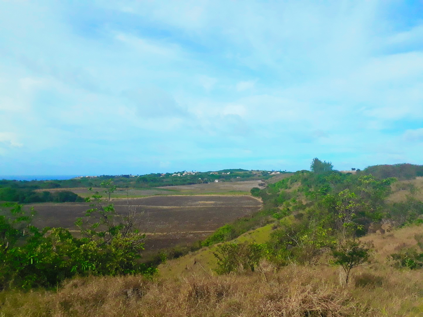 Pickerings Development - Barbados Real Estate 246