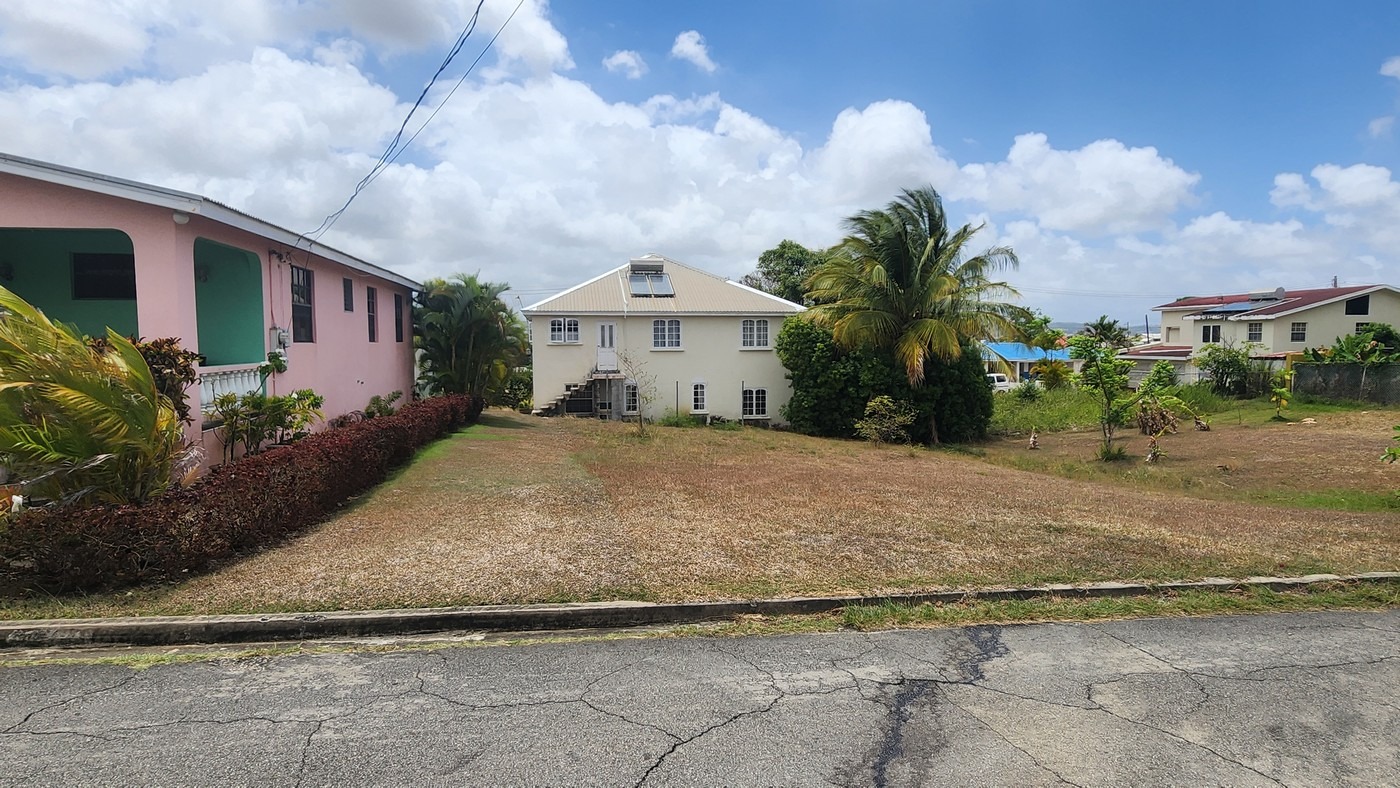 Frere Pilgrim - Barbados Real Estate 246